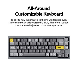Keychron Q2 Wired Custom Mechanical Keyboard, QMK/VIA Programmable Macro, Full Aluminum, Hot-Swappable Gateron G Pro Red Switch, 65% Layout Double Gasket Compatible with Mac and Windows - Grey