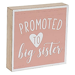 Hanna Roberts Toddler Kids Sibling Reveal Box Sign, 5.9" x 5.9" (Promoted to Big Sister)