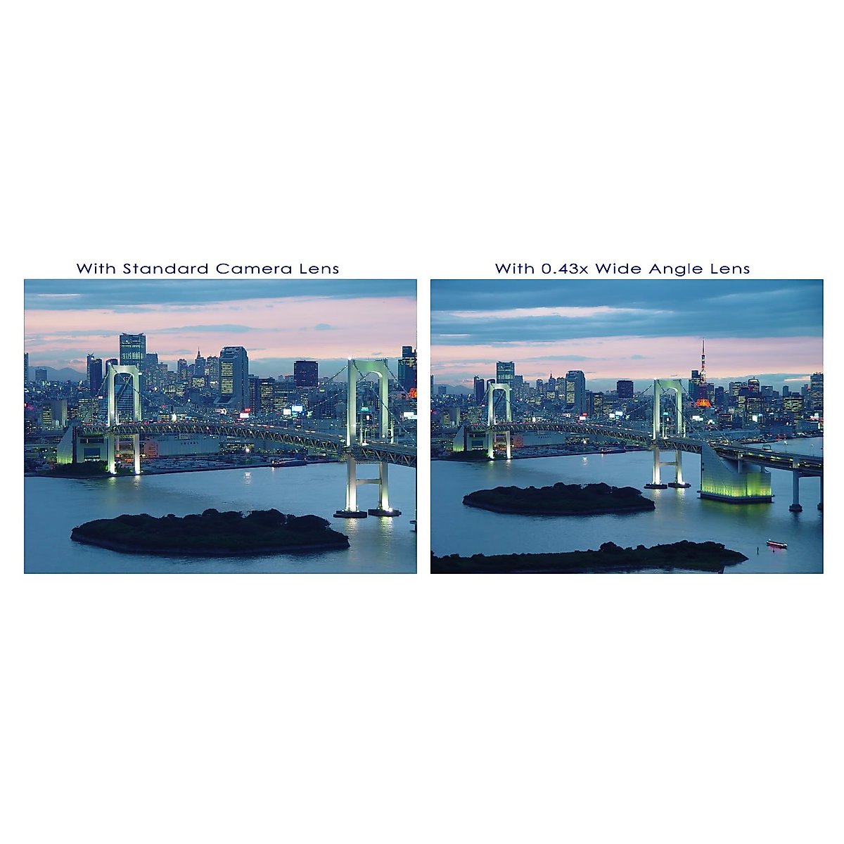 0.43X High Definition Super Wide Angle Lens w/Macro Compatible with Panasonic Lumix DMC-LX100 + Filters