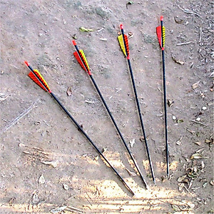 Hosolee 12 Pack Archery 500 Spine Carbon Arrows with Real Feathers and Removable Tips for Targeting Hunting Practice