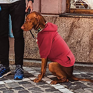 Hooded Sweatshirt for Dogs Cat Girl Fall Dog - Fleece Sweater Winter Dogs Warm Boy Medium for Small Hoodie Puppy with Pocket Clothes Pet Clothes Dog Sweatshirts for Small Dogs Set (Red, L)