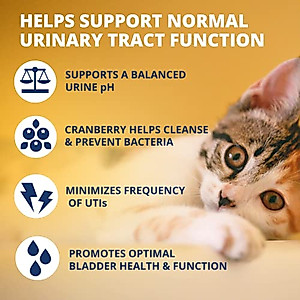Under the Weather Pet Urinary Tract Support Soft Chews for Cats, 60 Bite Size Soft Chew Cat Supplements | Promotes Normal Ph Balance & Healthy Urinary Function for Cats