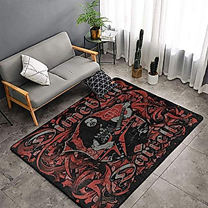 Carpet Area Rug Home Decor Soft Nonslip Indoor Outdoor Carpet (60 X 39 inch)