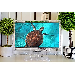 RCA 15” Clearview HDTV | J15SE820 Transparent LED HD Television, High Resolution Wide Screen Monitor w/HDMI, VGA, Including Full Function Remote.