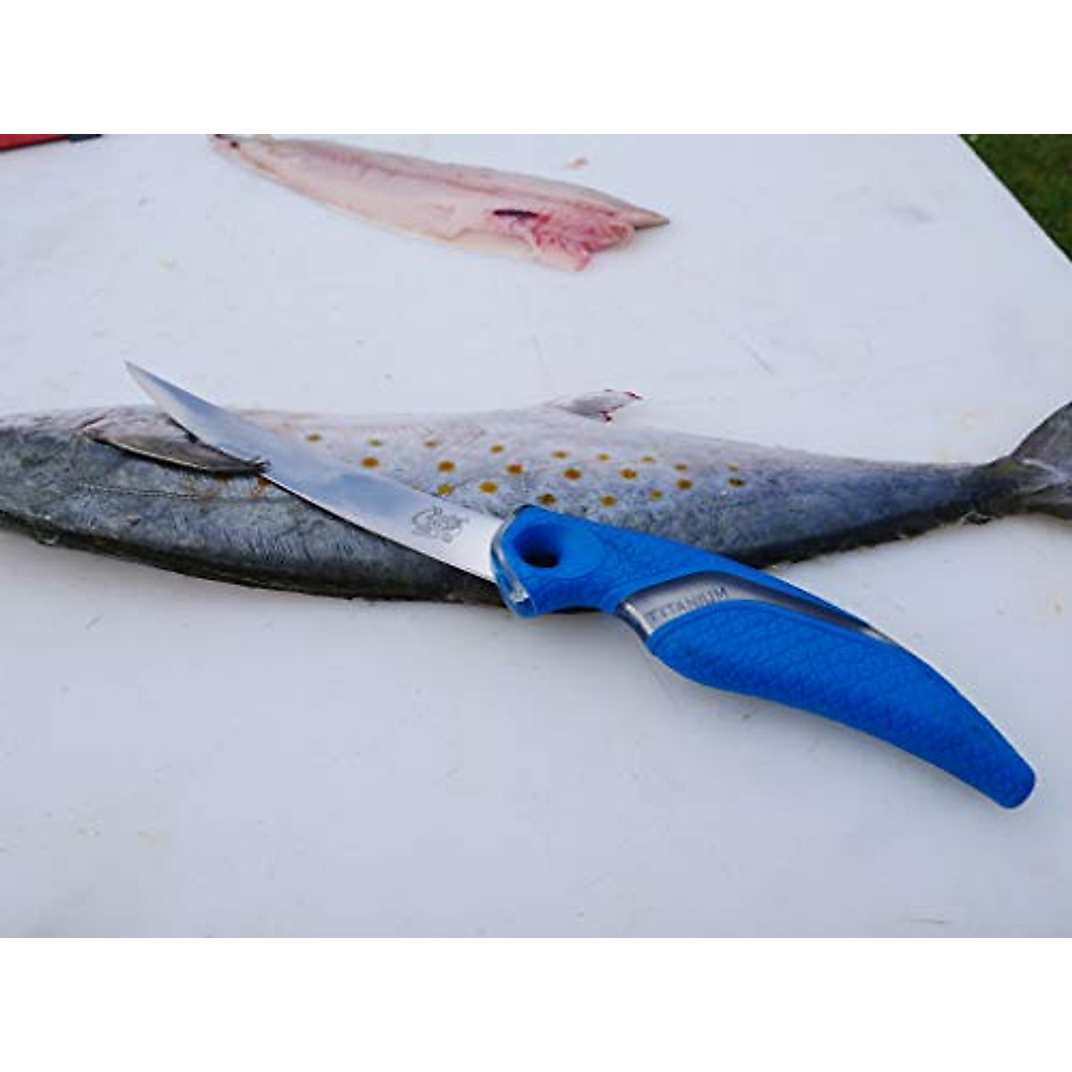 Cuda 6-Piece Fish Fillet Knife Set with Knife Sharpener (18133),Blue