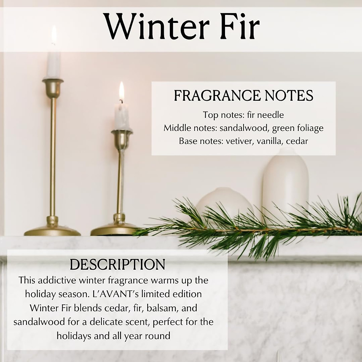 L'AVANT Collective Green Candle | Winter Fir Scented | Non-Toxic & Paraffin Free | Notes of Cedar, Fir, Balsam, Sandalwood | 40 Hours of Burn Time | Long Lasting | Home Decor Aromatherapy Gifts 8oz