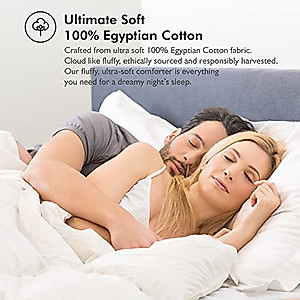 Luxurious Full/Queen Size Goose Down Feather Fiber Comforter Duvet Insert, Ultra-Soft 100% Egyptian Cotton Cover, 60 oz. Fill Weight, All-Season White Solid Comforter