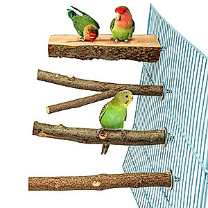 4 Pack Natural Wood Bird Perch for Bird Cages,Parrot Stand Perch Platform Exercise Playground Toys Paw Grinding Stick Perch Stand Cage Accessories for Budgies Cockatiel Conure Parakeet Lovebirds (H01)