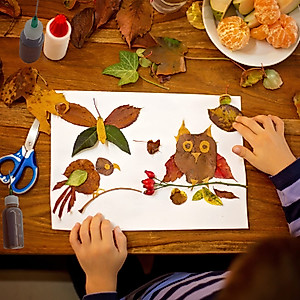 Expesumas 6 Pcs Glue Applicator Bottles, 30ml Plastic Squeezable Dropper Bottles with Blunt Needle Tip 14ga 16ga 18ga 20ga for Glue Applications, Paint Quilling Craft and Oil