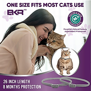 BKRMART Flea and Tick Collar for Cats, 8 Months Protection Natural Cat Flea Collar and Tick Treatment, One Size Fits All Cats Flea & Tick Prevention Collar 2 Pack