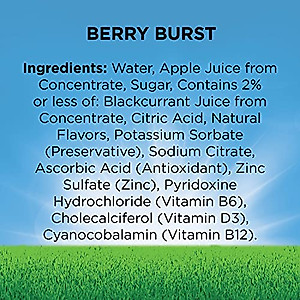 Fruit Shoot, Berry Burst, 10.1 Fl Oz Bottles (Pack of 24)