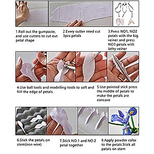 AK ART KITCHENWARE Gum Paste Flower Making Tools Flower-de-luce Petal Veiner Stainless Steel Petal Leaf Cutters Gum Paste Flower Molds Veining Mold for Wedding Cake Decorating Supplies