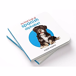 My First English - Español Learning Library (Mi Primera English - Español Learning Library): Boxset of 10 English - Spanish Board Books (Spanish Edition)