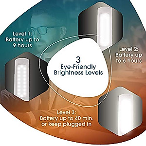 OttLite Recharge LED Desk Lamp with ClearSun LED Technology - Portable, Dimmable & Flexible Gooseneck - Travel-Friendly Task Lamp with Rechargeable Battery - for Home, Reading, Office & College Dorms