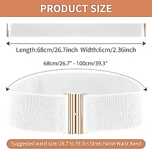 Cobee Women Elastic Wide Belt,Waist Belt with Flat Buckle(White)