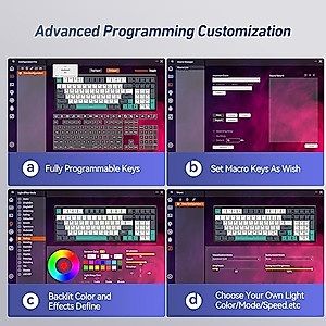 EarlyLit Hot-Swappable Mechanical Keyboard, Wired Gaming Keyboard with Numeric Pad,Quiet Gasket and Red Switches,Programmable RGB Backlit, Compact 98Keys Computer Keyboard for PC Mac Xbox Gamer