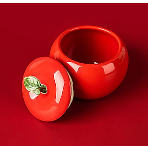 Mozacona Ceramic Apple Shape Container Food Storage Jar with Lid