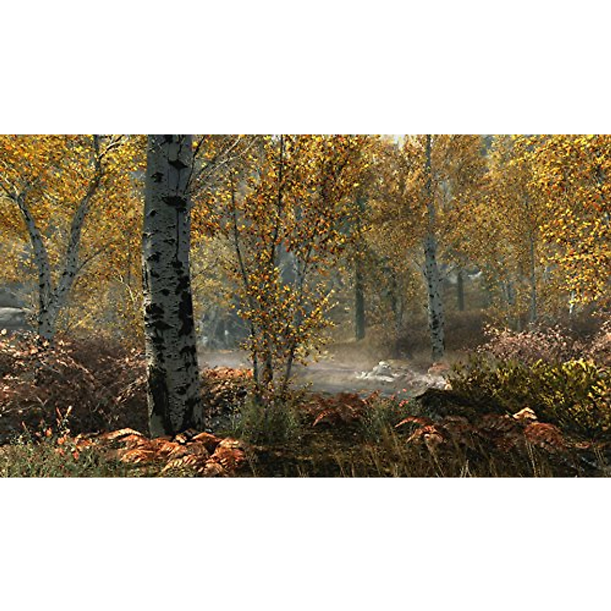 The Elder Scrolls V: Skyrim Special Edition - Xbox One (Imported Version)