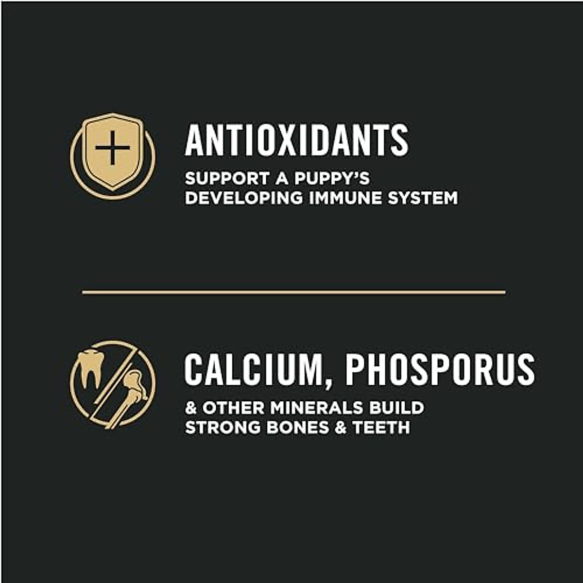 Purina Pro Plan High Protein Puppy Food DHA Lamb & Rice Formula - 6 lb. Bag