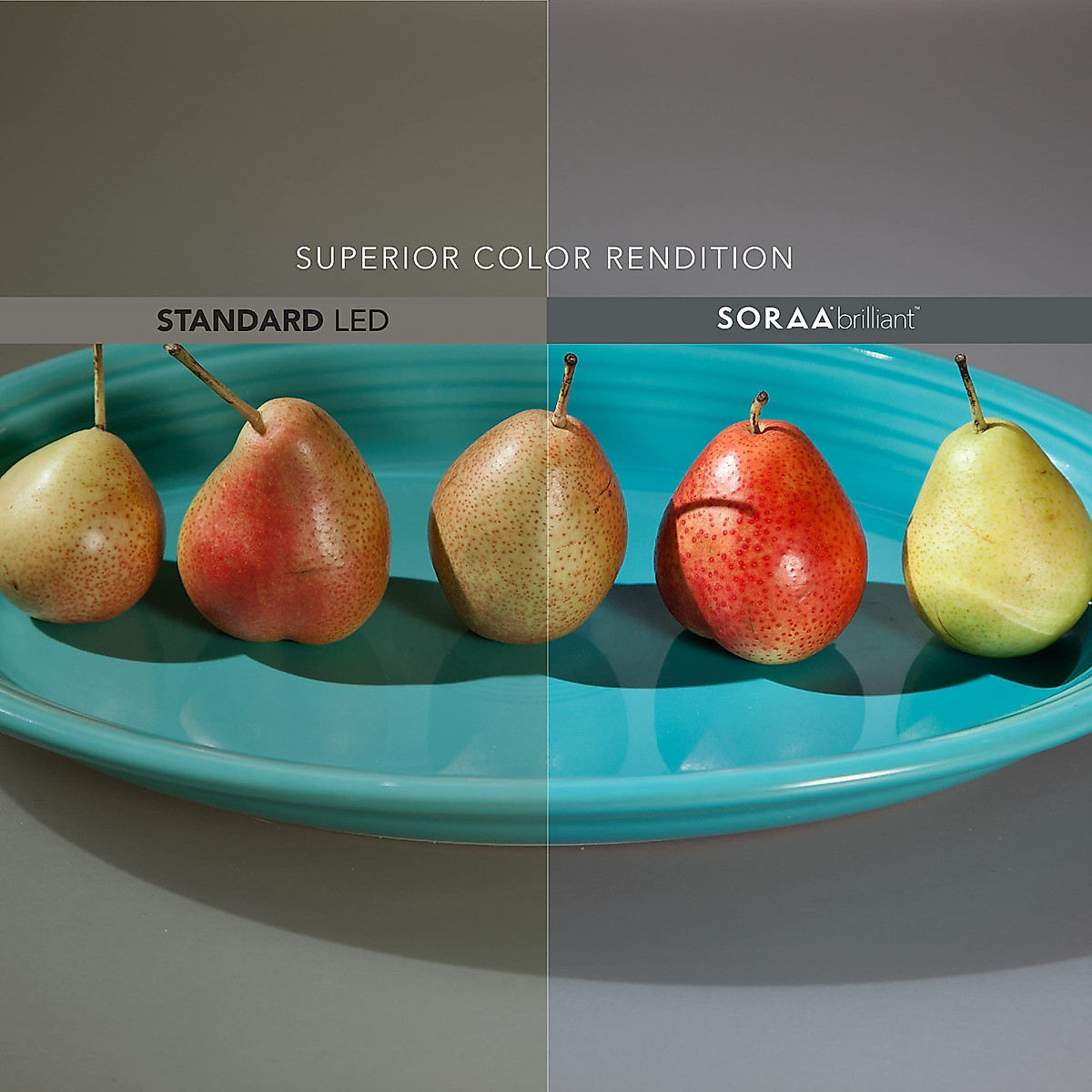 SORAA Brilliant PAR20 8W Dimmable 2700K 10 Degree Narrow Spot Light Bulb