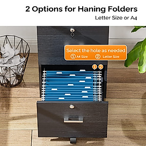 VINGLI 2-Drawer Small Rolling File Cabinet with Lock, Wood Filing Cabinet for Hanging Letter Size Filings with Tabs, Mobile Under Desk File Cabinet for Home Office, Classic Black, 27.2" H