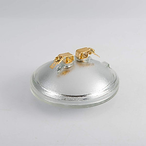 Beonllay PAR36 LED Landscape Light Bulb, 6W 600LM, 6000K, 36Watt Halogen Landscape Bulb Equivalent, 12V AC/DC, PAR36 LED Bulb for Tractor Light, Off-Road Vehicles, RV Vehicles, 2 Pack