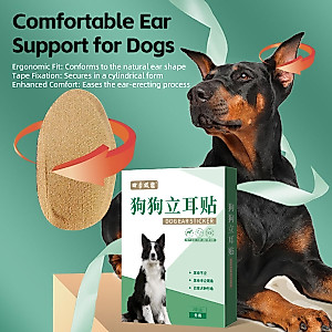 MANON ROSA Dog Ear Posting Kit for Doberman Pinschers - Ear Stand Up Support Tool with Tape for Ear Correction and Vertical Hold (2-Pack)