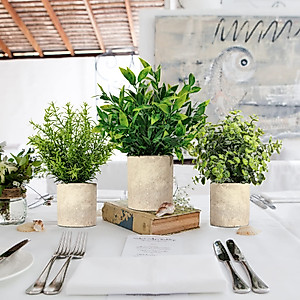 Artificial Plants 3 Pack Mini Fake Hanging with Macrame Plant Hangers Decorative Faux Greenery Decor for Shelves Wall Kitchen Farmhouse Bathroom Home Office