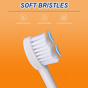 Electric Sonic Toothbrush with 6 Brush Heads, Rechargeable Power Toothbrush for Adults 2 Minute Built in Smart Timer, 6 Modes, One Charge for 60 Days