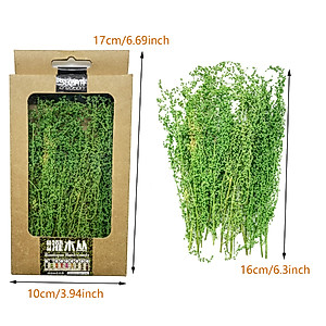 Cayway Miniature Shrubs Model Bushes Long Shrub Vegetation Groups Static Grass Tuft for DIY Model Train Landscape Railroad Scenery, Grass Green