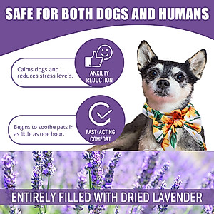 Paw Legend Dog Calming Collar for Dogs Filled with Lavender Anxiety Relief 100% Polyester Adjustable Thunderease Calming Collar (2 Pack, Medium)