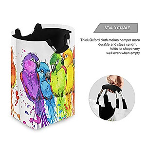 DOMIKING Laundry Storage Basket Collapsible Organizer - Funny Parrots Laundry Hamper for Kids Room Dirty Cloth Toy Dorm Bag with Handle