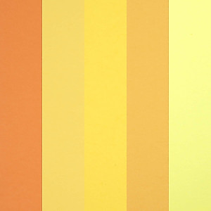 50 Sheets 8.5” x 11” Citrus Cardstock Paper by Recollections - Acid and Lignin Free Paper for Scrapbooks, Arts & Crafts - 1 Pack