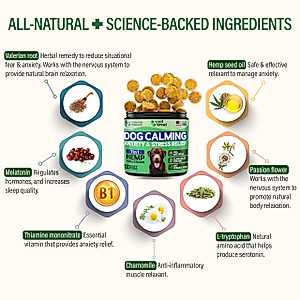 Hemp Calming Chews for Dogs - Dog Anxiety Relief -Made in USA- Hemp Oil + Melatonin Treats - Separation Anxiety, Barking, Travel - Dog Calming Chews - 120 Soft Treats (Chicken)