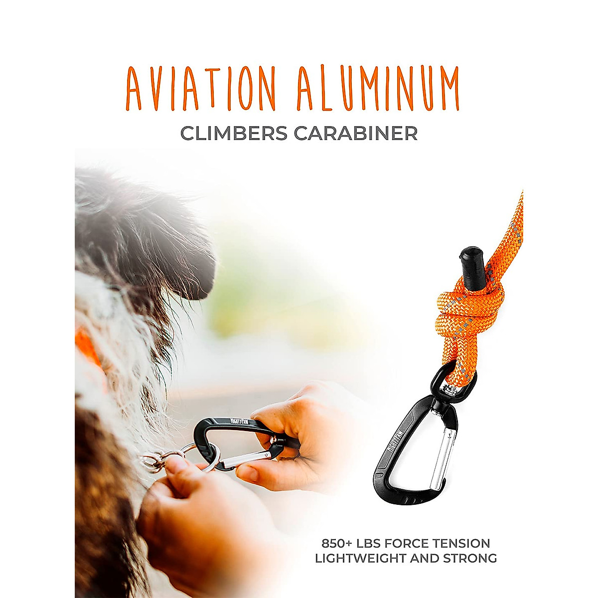 Mighty Paw Rope Dog Leash - Durable Climbing Lead - Reflective Stitching - Comfort Handle - Suitable for All Pet Sizes - Heavy Duty Dog Leash with Carabiner - Long Dog Leash - (6 Feet, Orange)