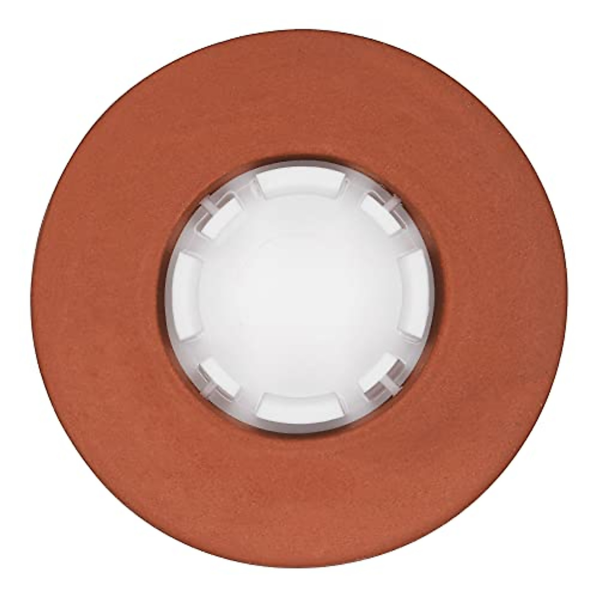 OXO Good Grips POP Container - Airtight Food Storage - 1.1 Qt for Brown Sugar and More,Transparent & Good Grips POP Container Brown Sugar Keeper