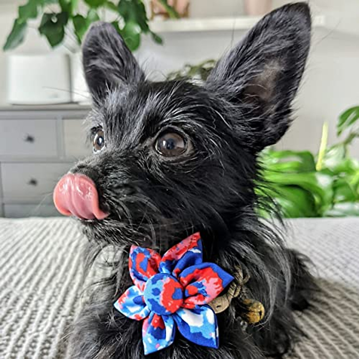 H&K Pet Pinwheel | American Tie Dye (Small) | 4th of July Velcro Collar Accessory for Dogs/Cats | Fun Pet Pinwheel Collar Attachment | Cute, Comfortable Pet Accessory