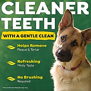 TropiClean Fresh Breath No Brushing Clean Teeth Dental & Oral Care Dental Wipes for Dogs, 50ct - Teeth Cleaning Wipes - Helps Wipe Away Plaque & Tartar - Freshens Breath - No Brushing Required