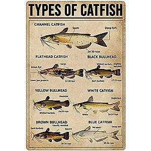 Catfish Knowledge Metal Tin Sign Tyoes Of Catfish Funny Poster Restaurant Cafe Living Room Kitchen Bathroom Home Art Wall Decoration Plaque