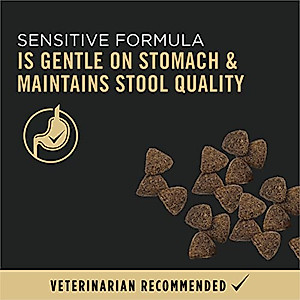 Purina Pro Plan Sensitive Skin and Stomach Dog Food Salmon and Rice Formula - 4 lb. Bag
