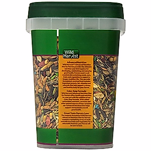 Wild Harvest WH-83542 Wild Harvest Advanced Nutrition Diet for Parrots, 4-Pound (Packaging May Vary)