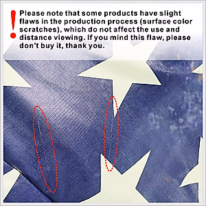 Dulepax RV Awning Fabric Replacement-11'(10'2" Fabric) Heavy Duty 16 oz Vinyl Fabric -Universal Camper Awning Fabric Replacement for All Awning Brands-Photo Graphic Art1:American Flag+Route 66