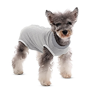 MIGOHI Dog Recovery Suit, Anti Licking Biting Dog Surgical Onesie After Surgery, Professional Dog Bodysuit for Male Female Dogs, Spay & Neuter Dog Shirts for Abdominal Wounds Skin Disease, Grey L