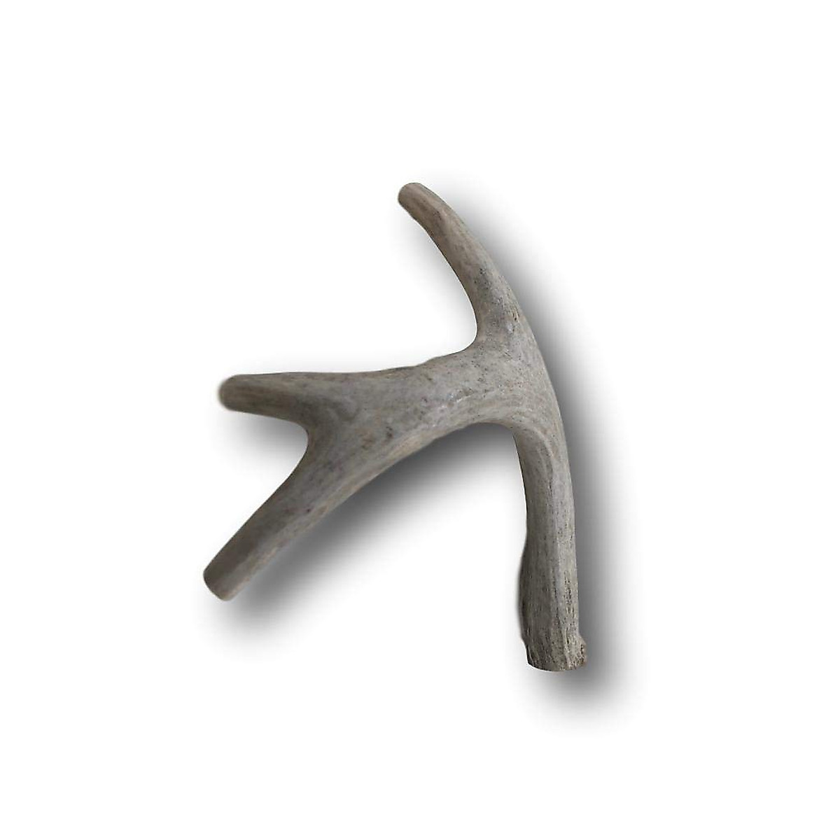 Top Dog Chews Large 6"-9" Long -Antler Dog Chew From Single Antler