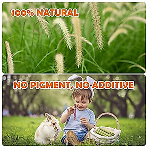 Sofier Timothy Hay Treats Rabbit Toys Bunny Toys Guinea Pig Toys Hamster Toys Natural Chews for Teeth Handmade Rabbit Chews and Treats Chinchilla Rat Gerbil