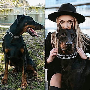 JIPIMON Dog Collar Extra Links Designed for Herm. Sprenger Collar (4 Pack) Steel Chrome Plated No Pull Dog Training Collar Links (2.25mm, Silver)