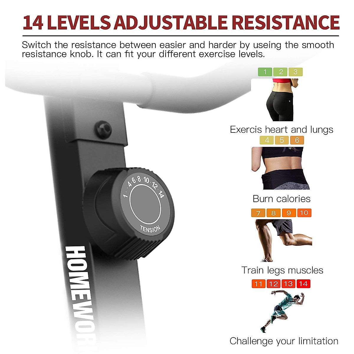 Recumbent Exercise Bike for Seniors 350 LBS Capacity with Magnetic Resistance Indoor Cycling Bike Stationary with iPad Holder for Home Gym Cardio Workout