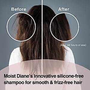Moist Diane Perfect Beauty Extra Vital Shampoo, Sulfate-Free, with Organic Argan Oil & Vitalizing Keratin from Japan, Rejuvenate Silky Smooth Hair Hair Care, for Men and Women, 15.2 fl oz/450 ml