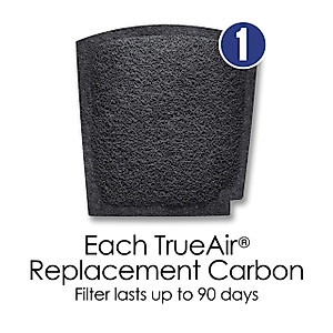 Hamilton Beach TrueAir Replacement Carbon Filter for Odor Eliminators, Neutralizes Pet Smells, 1-Pack (04294G), 1 Count (Pack of 1)