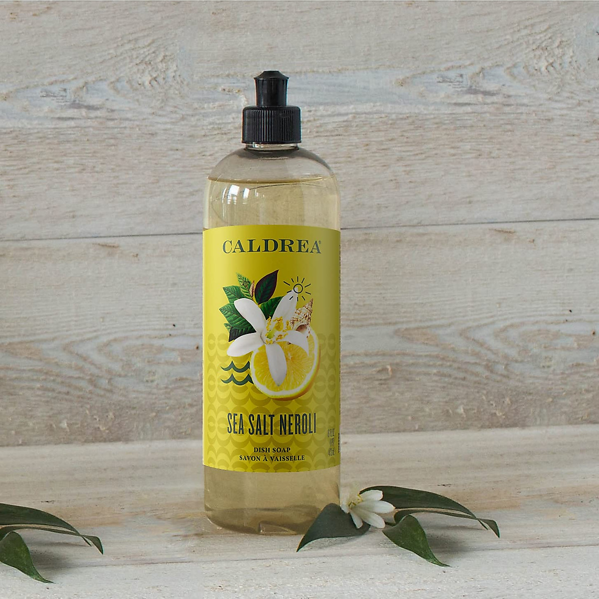 Caldrea Dish Soap, Biodegradable Dishwashing Liquid made with Soap Bark and Aloe Vera, Sea Salt Neroli, 16 oz , 3 Pack